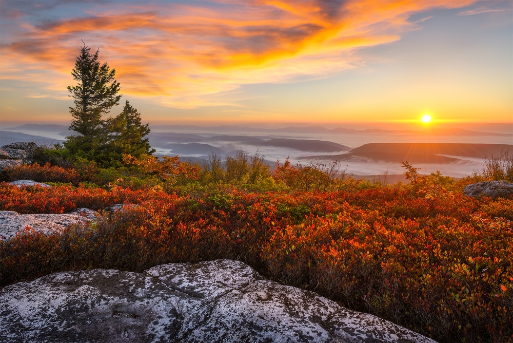 See the Best of Fall in Virginia in 2025