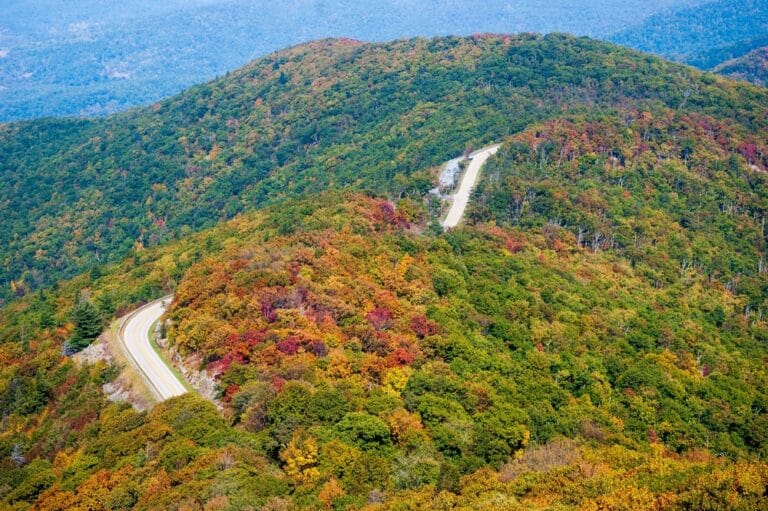 Skyline Drive Fall Foliage: The Best Way to Enjoy in 2025